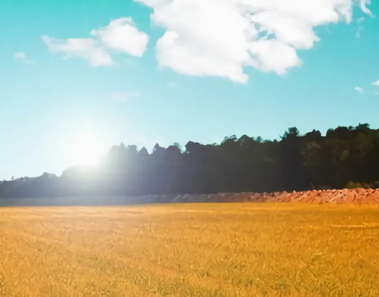 How These Two Zodiac Signs Handle Heartbreak: Virgo's Reaction Is the ...